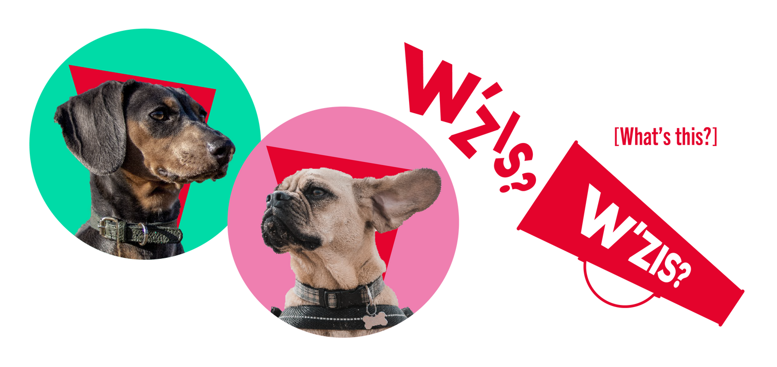W’ZIS? | Vegan Dog Treats and Chews